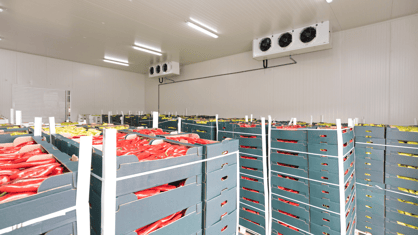 The Effect Of Cold Storage And Moisture On Food Storage